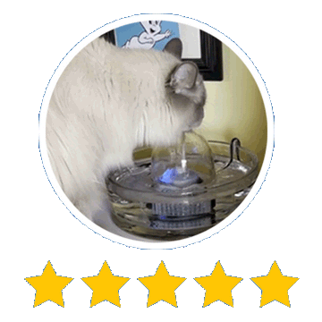 BROOK Glass Pet Fountain – All-Glass Water Fountain for Cats and Dogs ...