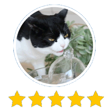 BROOK Glass Pet Fountain – All-Glass Water Fountain for Cats and Dogs ...